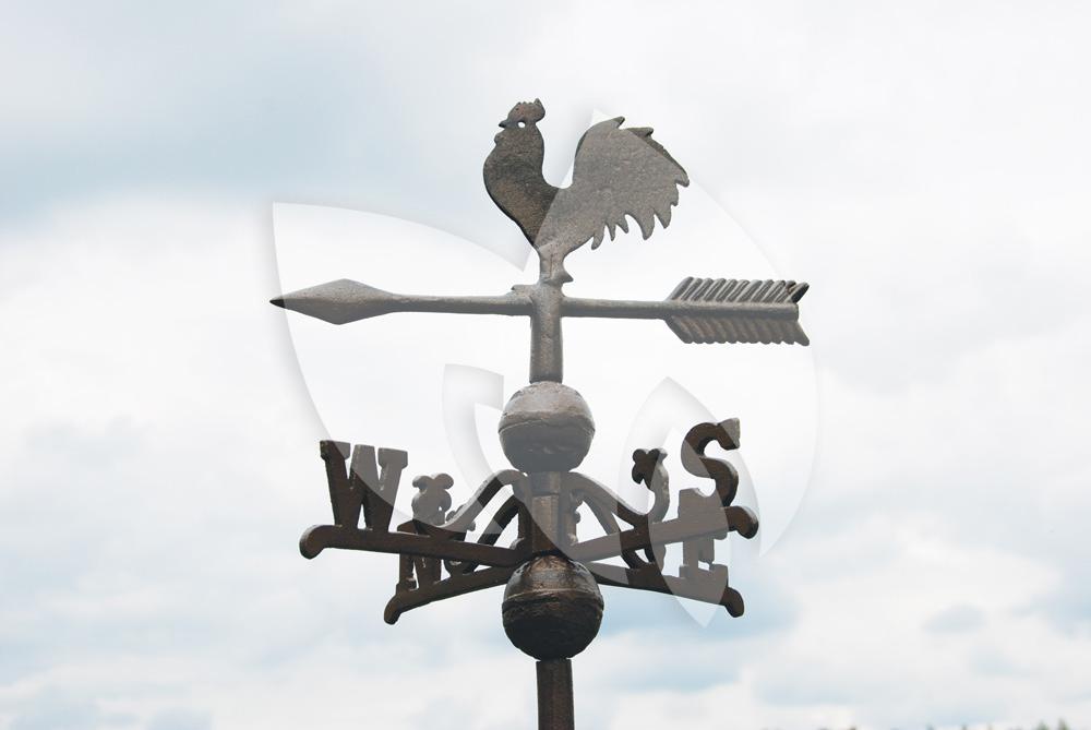 Esschert Design Windvaan met haan van gietijzer | Tuinexpress.be