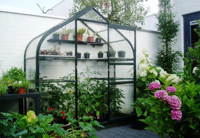 Halls Supreme Wall Garden muurkas | Tuinexpress.be